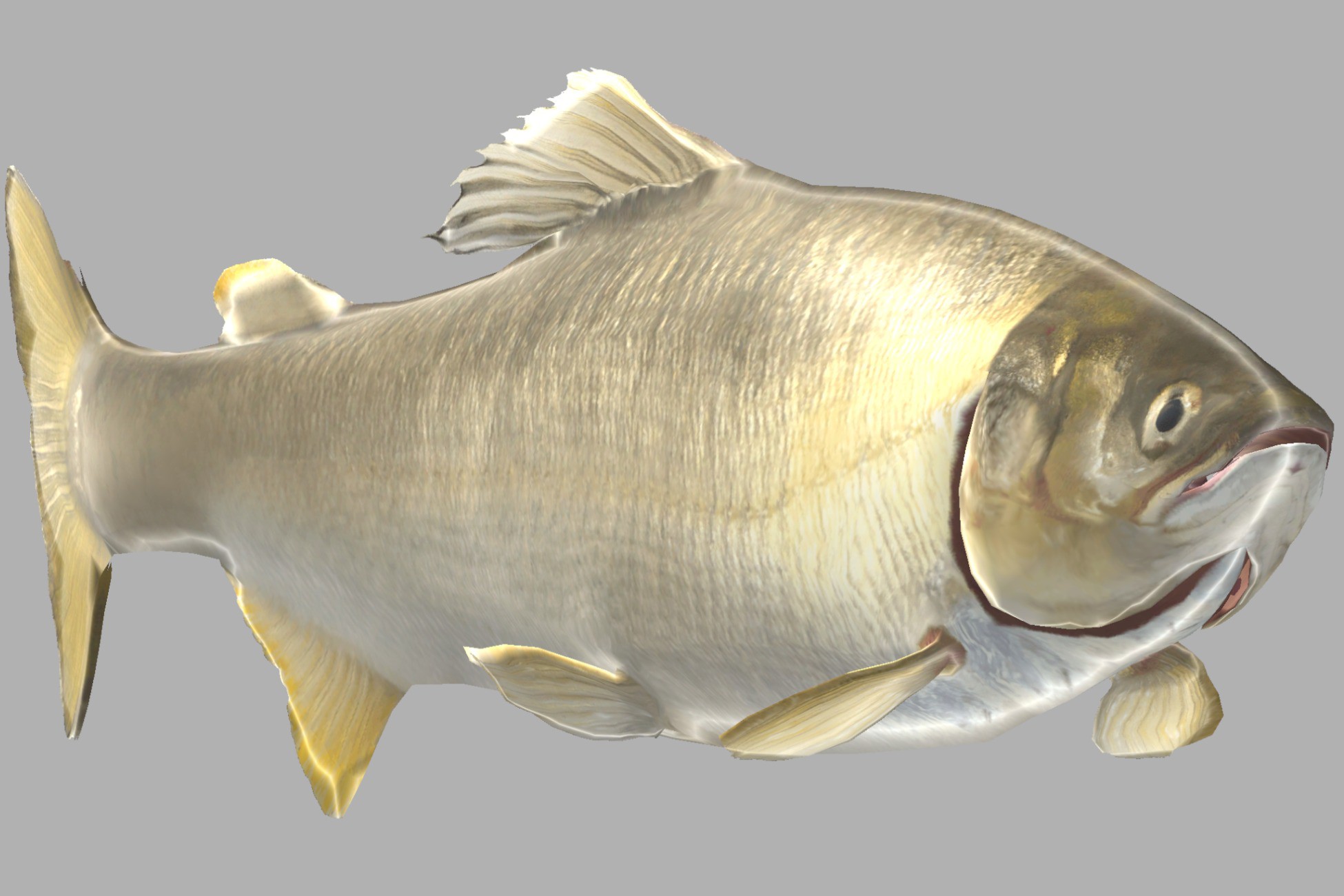 Ayu | Characters | Unity Asset Store