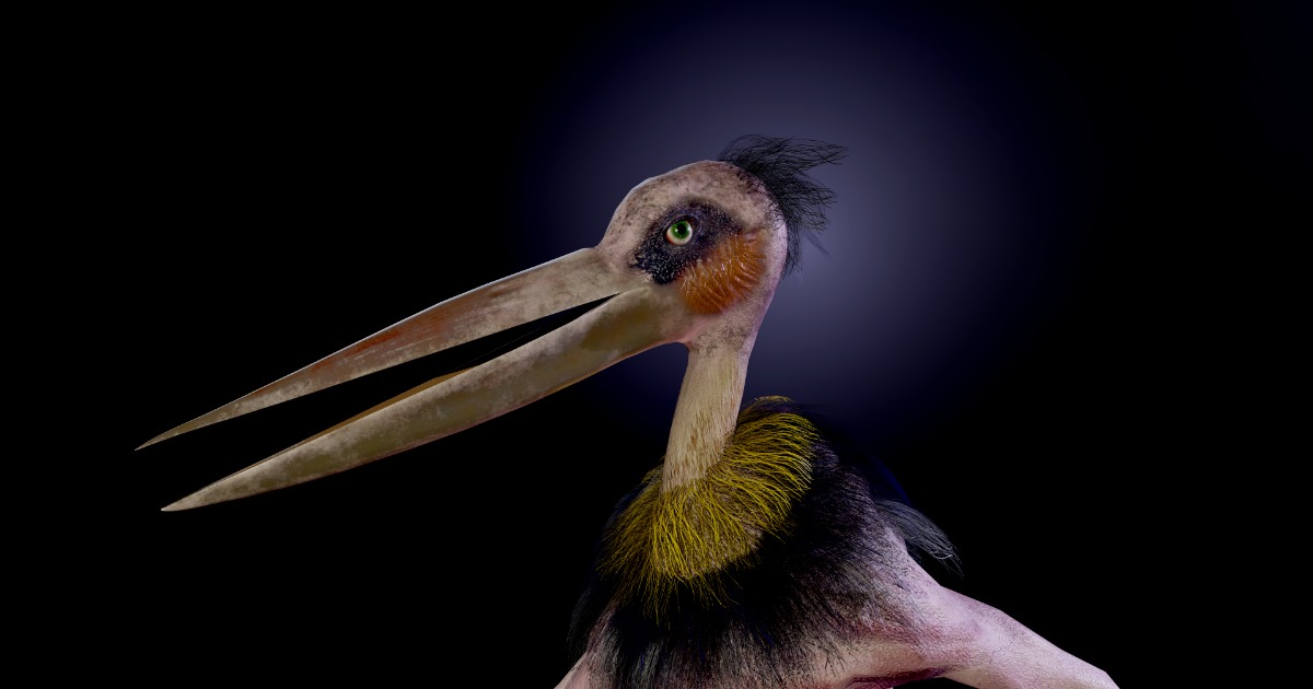 Bird mutant | 3D Characters | Unity Asset Store