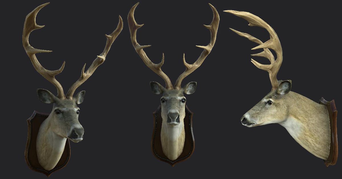Deer Trophy | 3D Props | Unity Asset Store