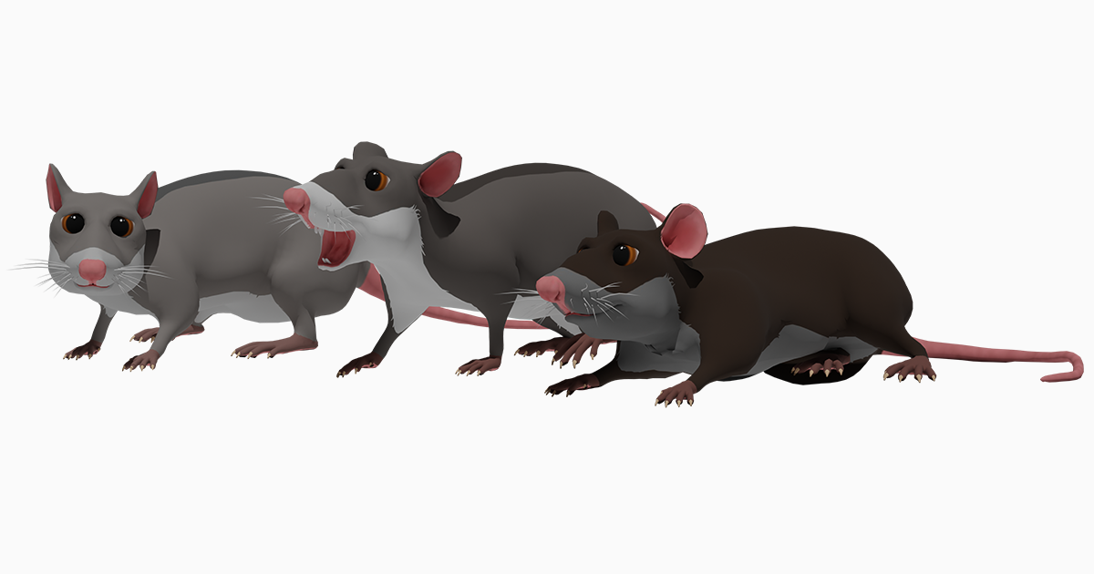 Cartoon Rat | Characters | Unity Asset Store
