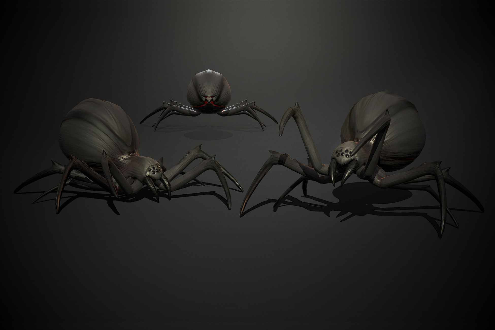 Spider insect2 | Characters | Unity Asset Store