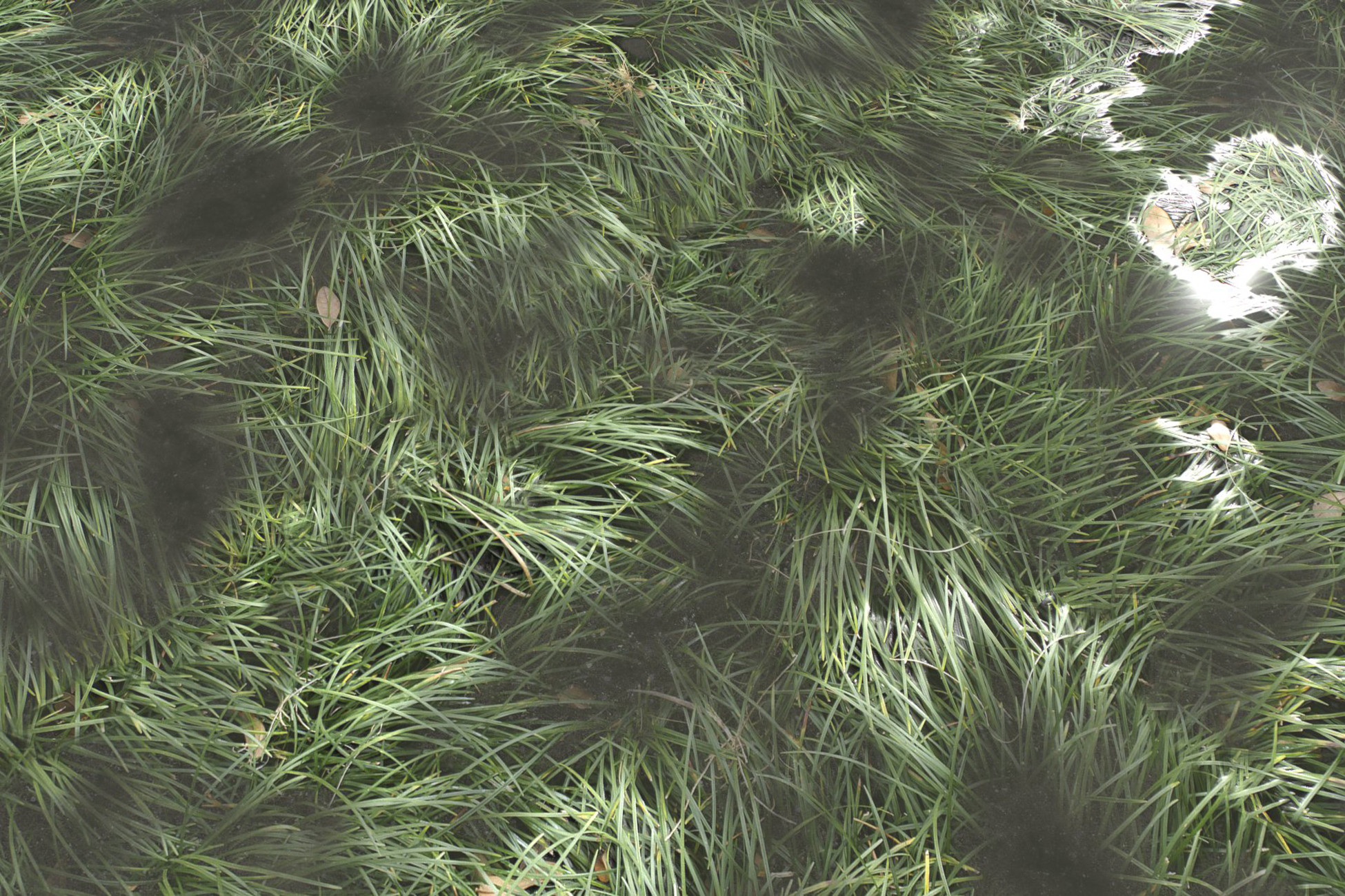 Water with Algae and Plants | 2D Nature | Unity Asset Store