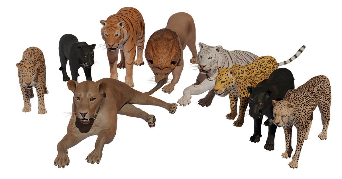 Set of wild african Cats | Characters | Unity Asset Store