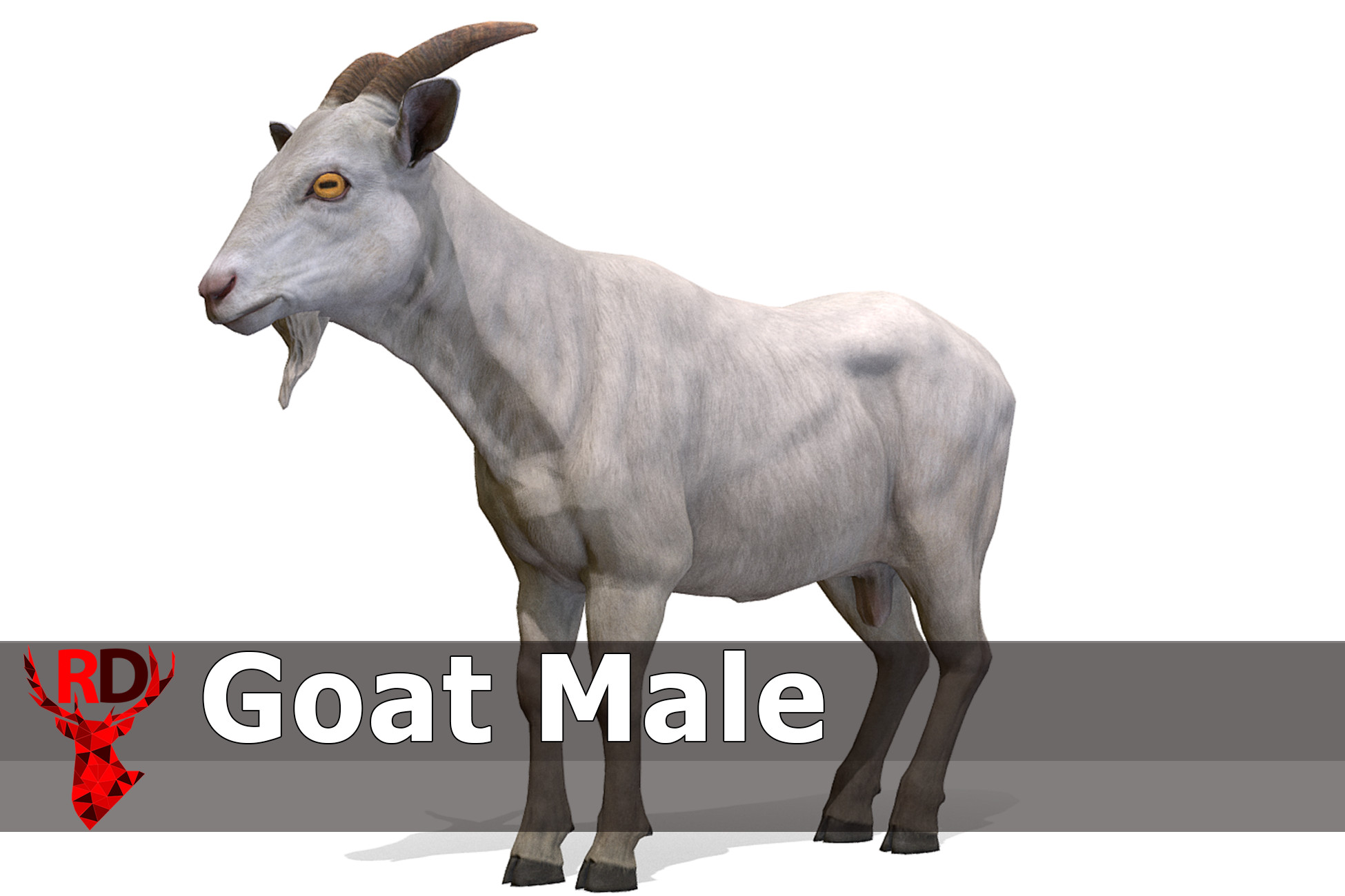 Goat male | Characters | Unity Asset Store