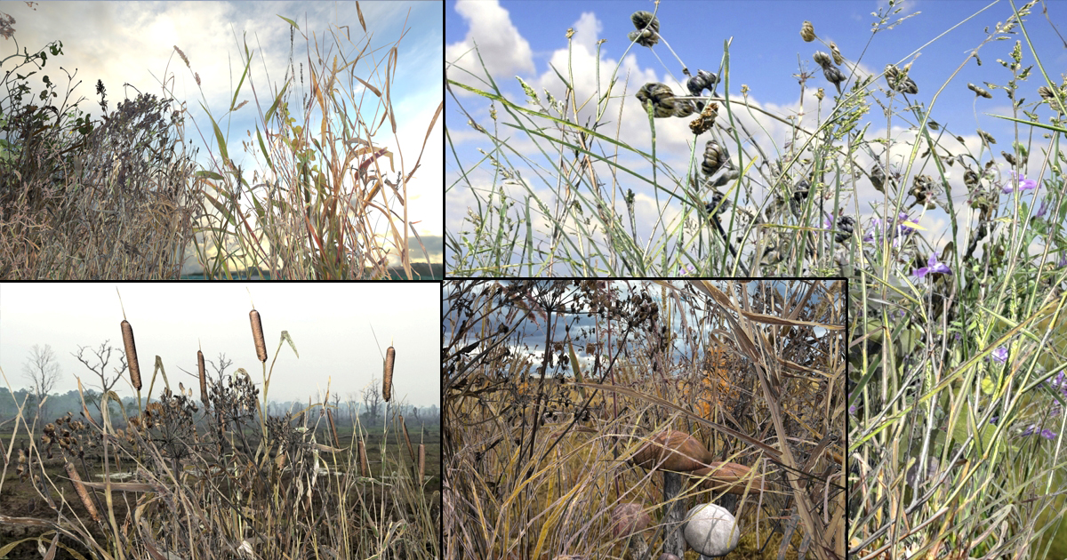Realistic Grass Pack | 3D Vegetation | Unity Asset Store
