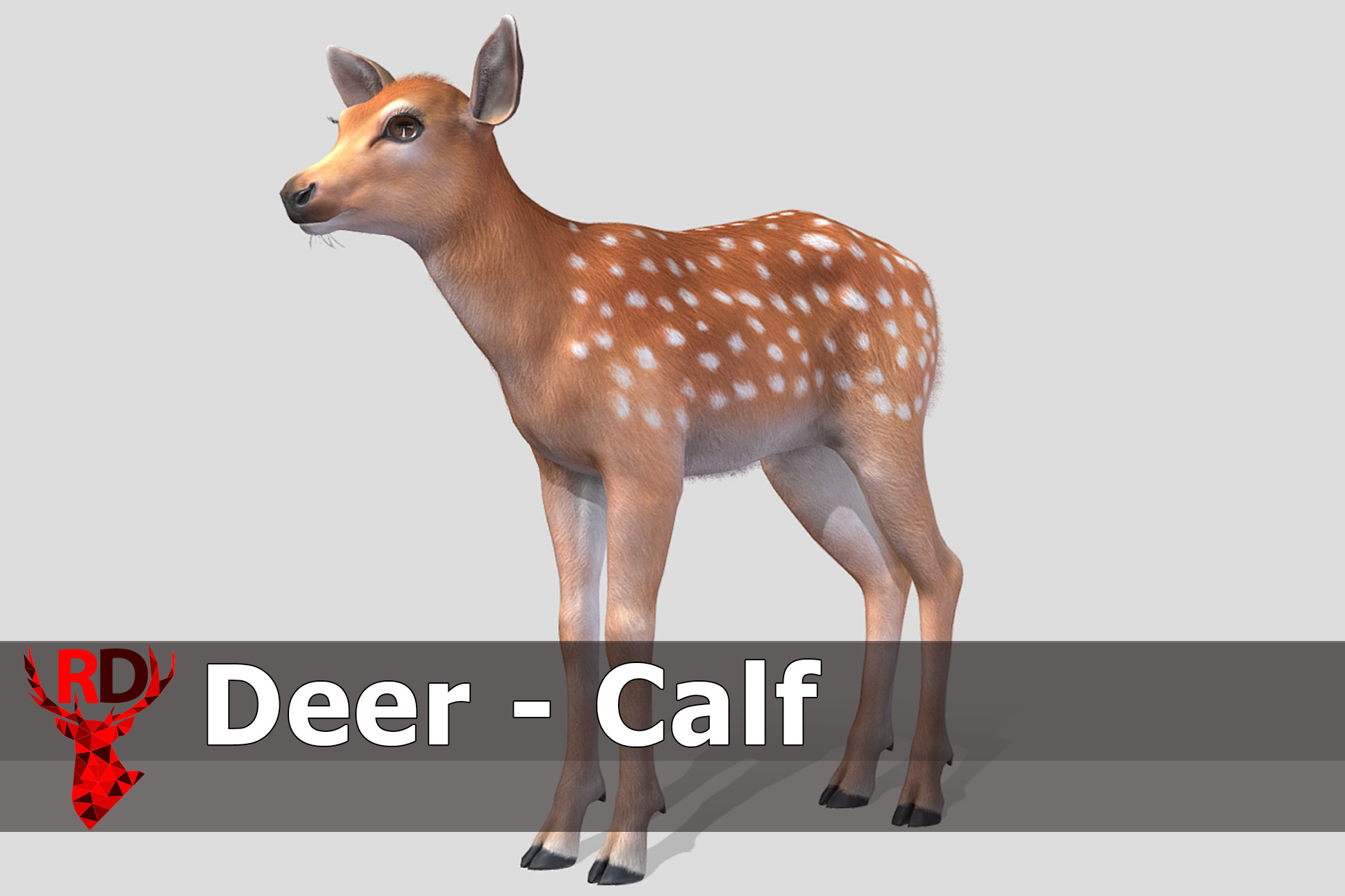 Deer - Calf | Characters | Unity Asset Store