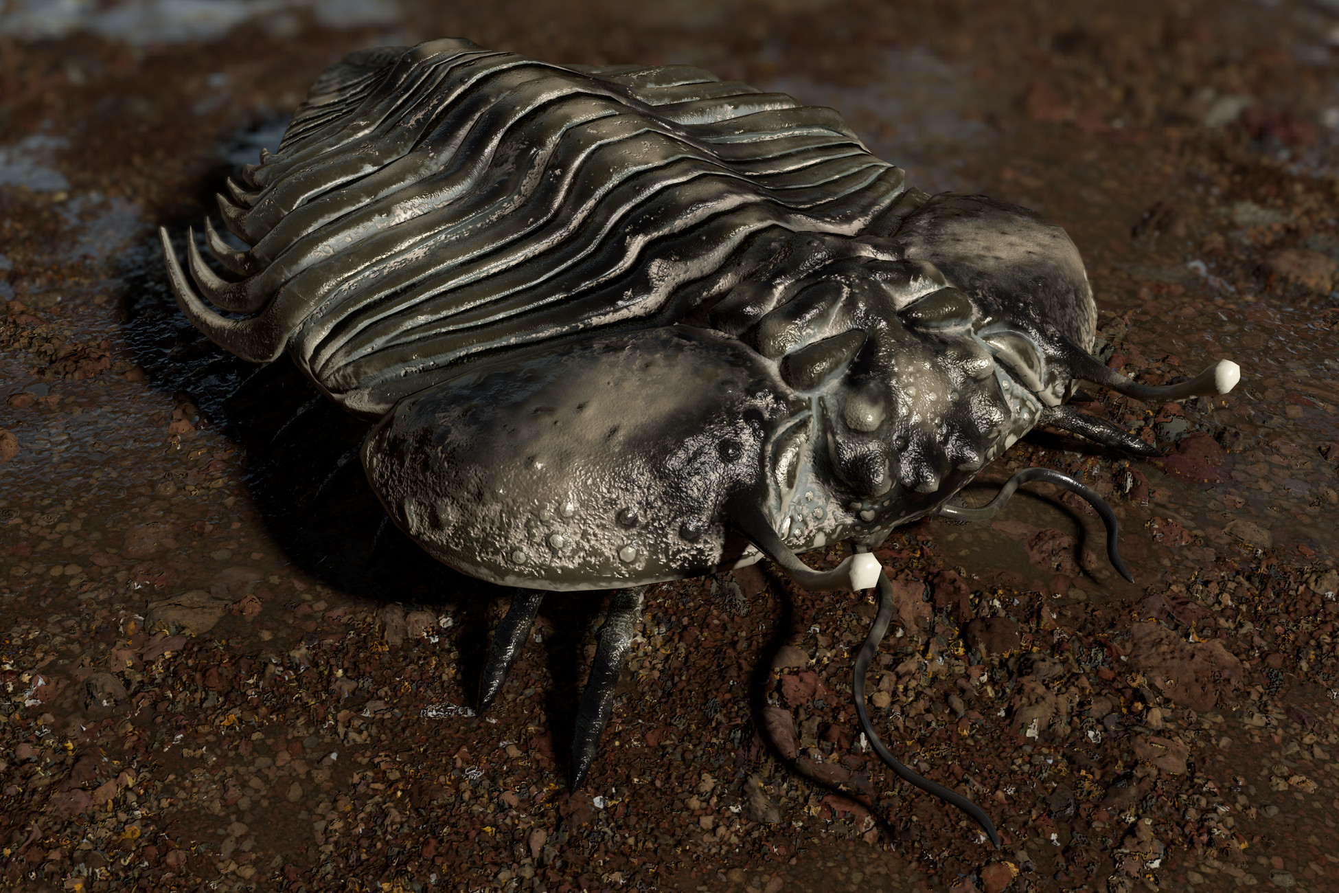 Trilobite 06 - CYBELE PANDER | 3D 생물 | Unity Asset Store
