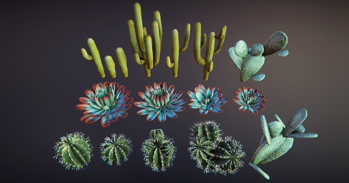 Cactuses | 3D Plants | Unity Asset Store