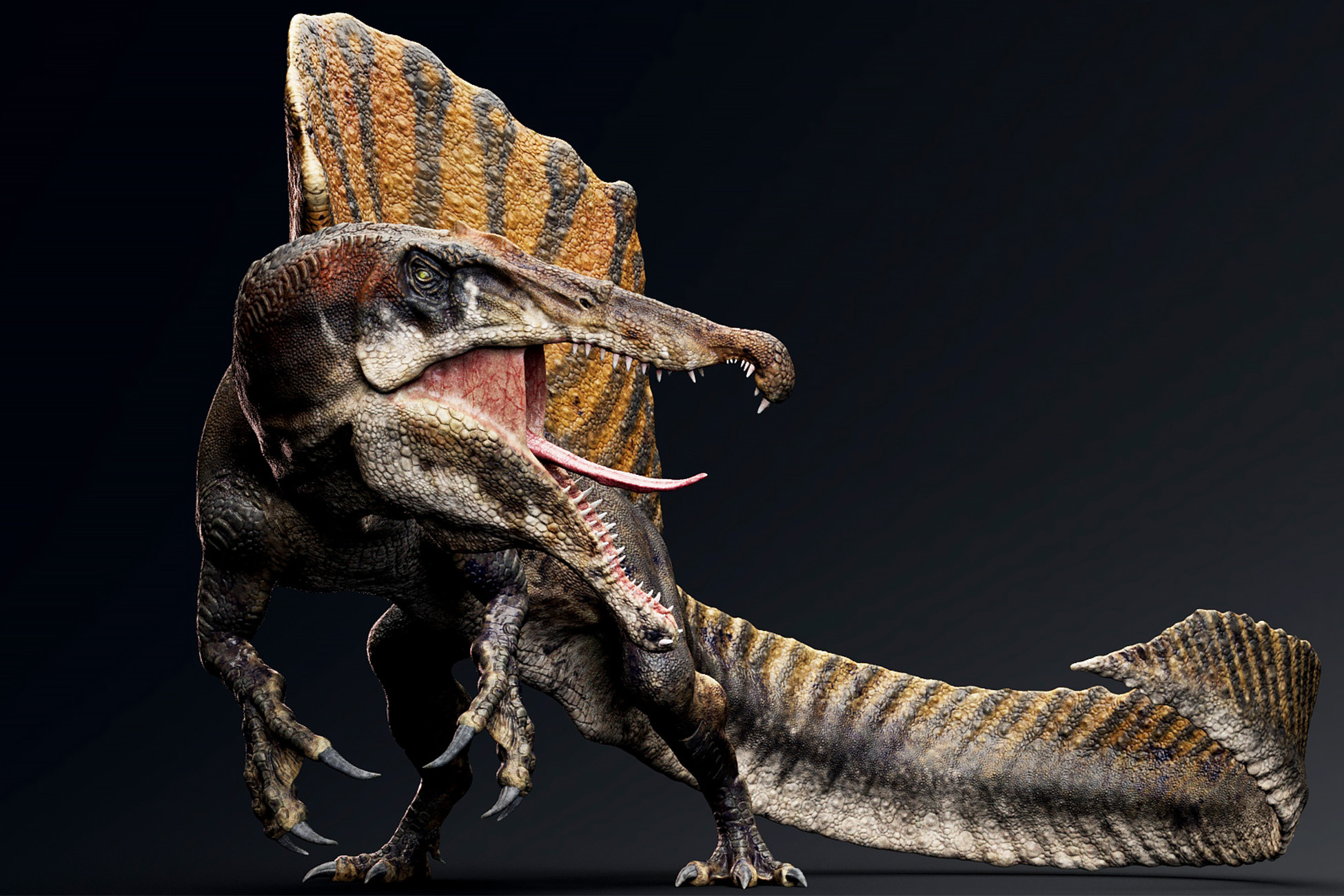 Spinosaurus Real Dinosaur Series | 3D Creatures | Unity Asset Store