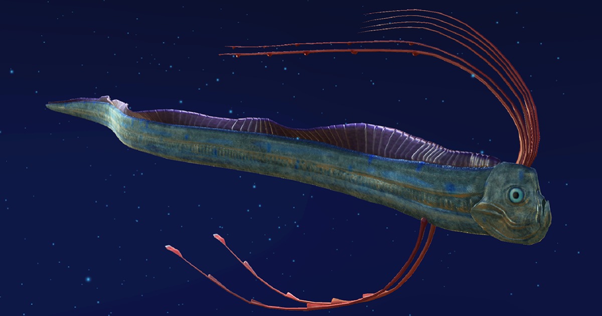 Oarfish | Characters | Unity Asset Store