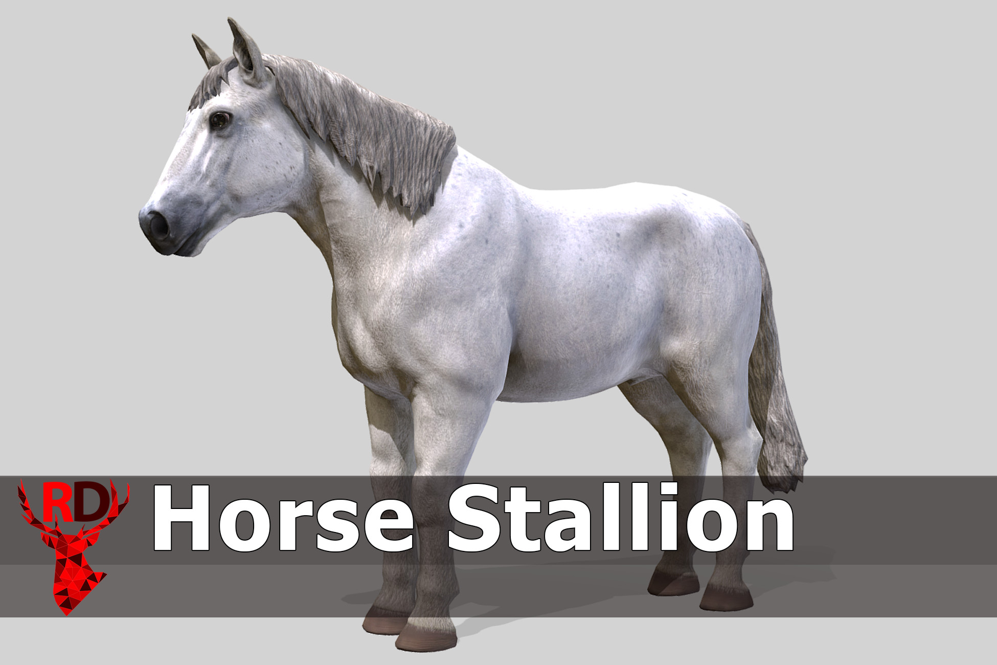 Horse stallion | Characters | Unity Asset Store