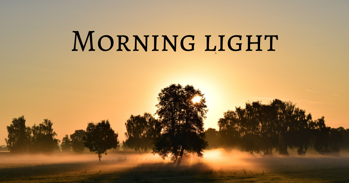 Morning Light | Orchestral Music | Unity Asset Store