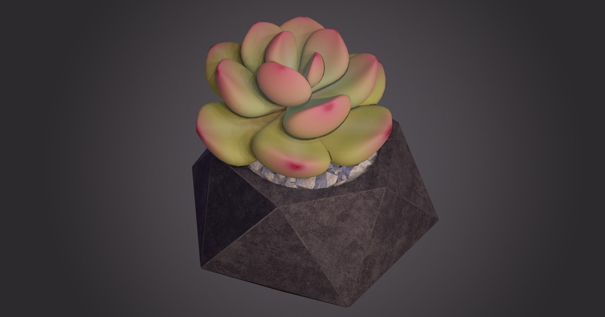 3D Pink echeveria: succulent in a pot | 3D Plants | Unity Asset Store