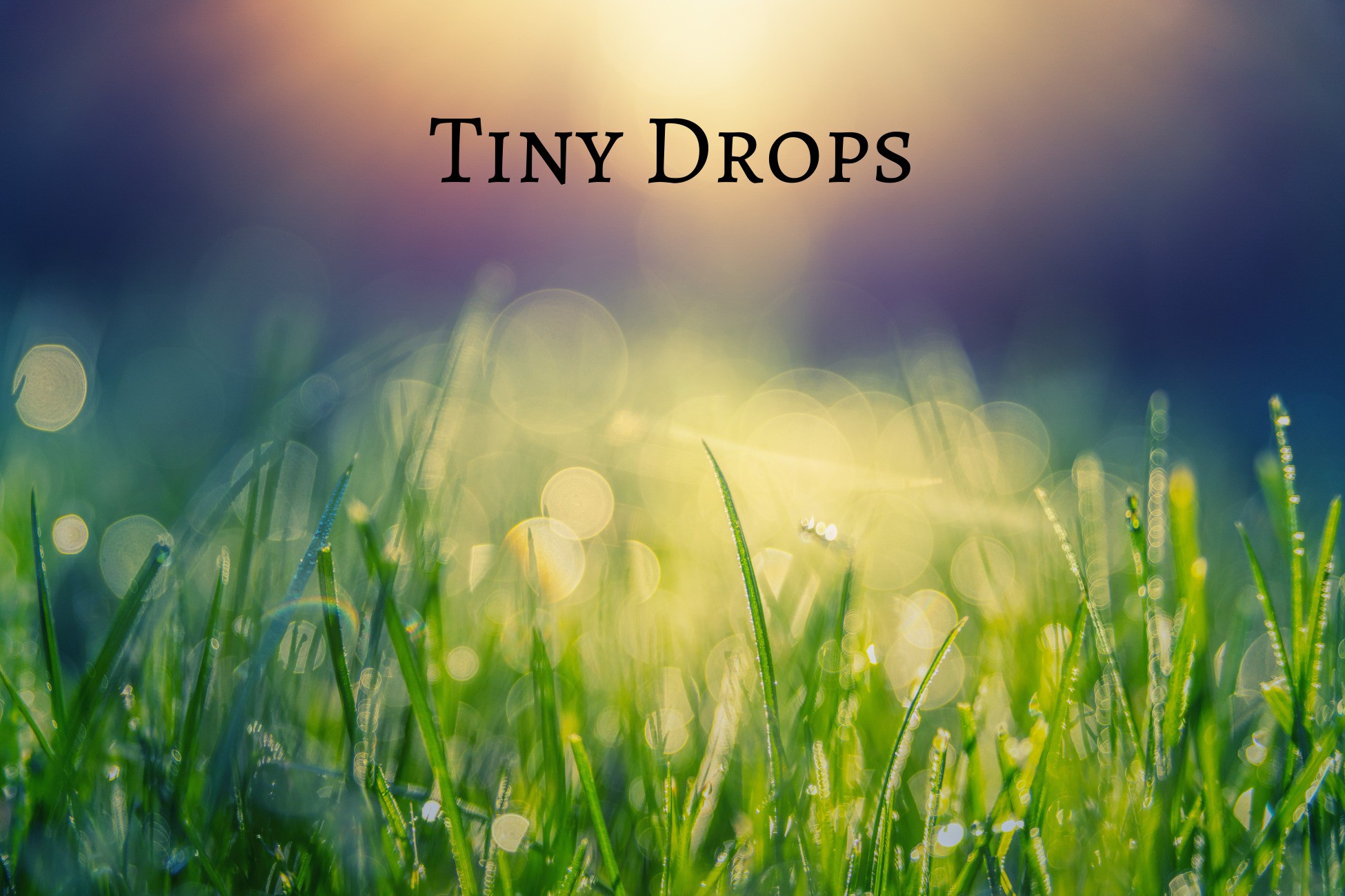 Tiny Drops | Pop Music | Unity Asset Store