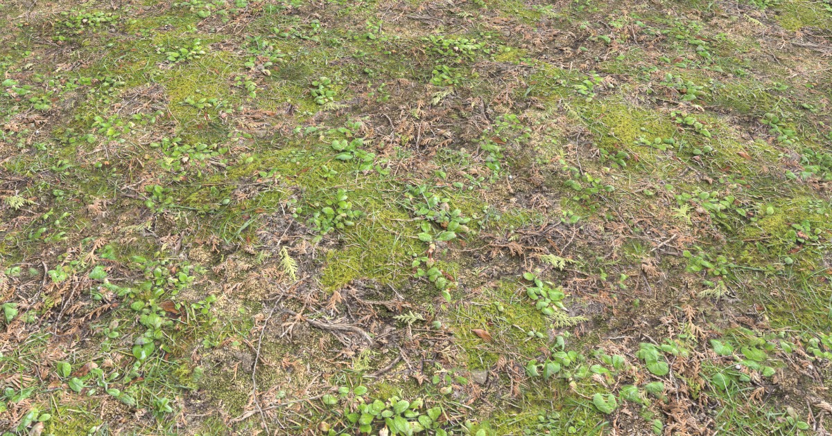Forest Ground Textures PBR 10 | 2D テクスチャ＆マテリアル | Unity Asset Store
