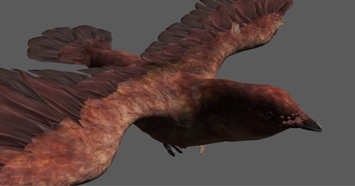 Realistic Bird | Characters | Unity Asset Store
