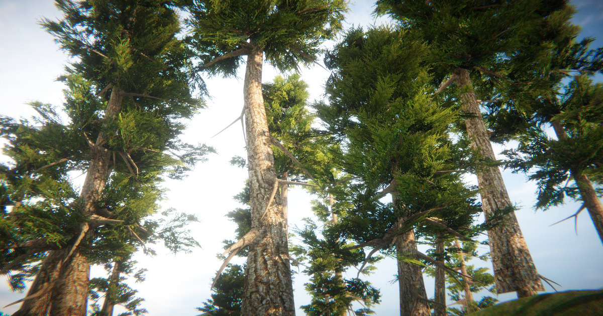 Mobile Pine Tree Pack | 3D 나무 | Unity Asset Store