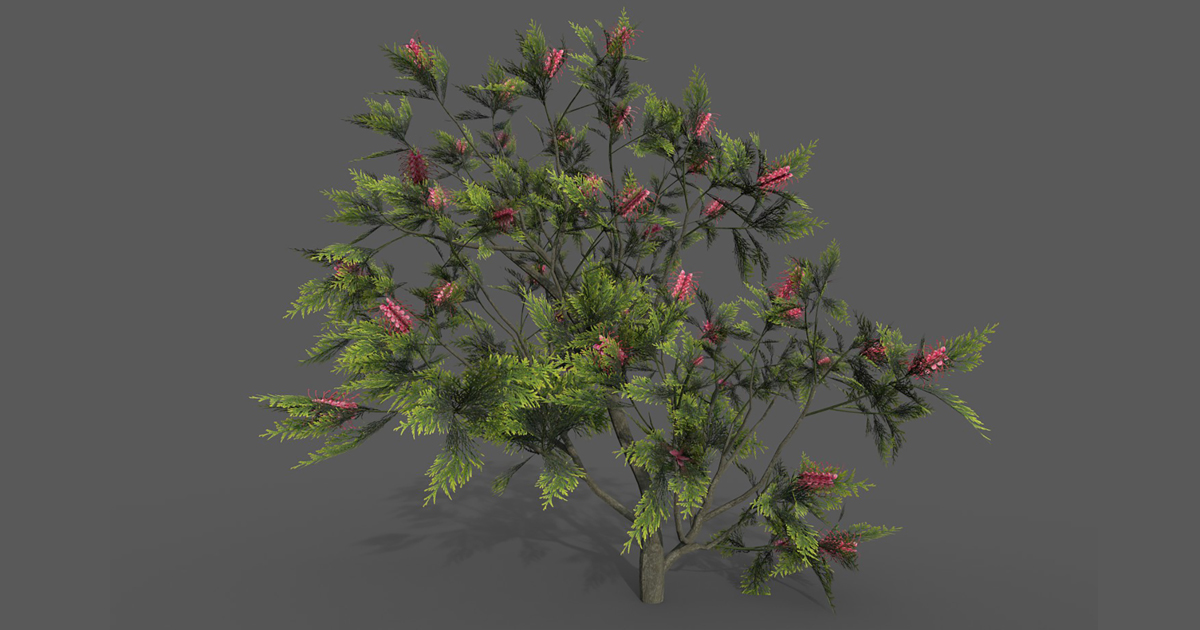 Grevillea Shrub | 3D Plants | Unity Asset Store