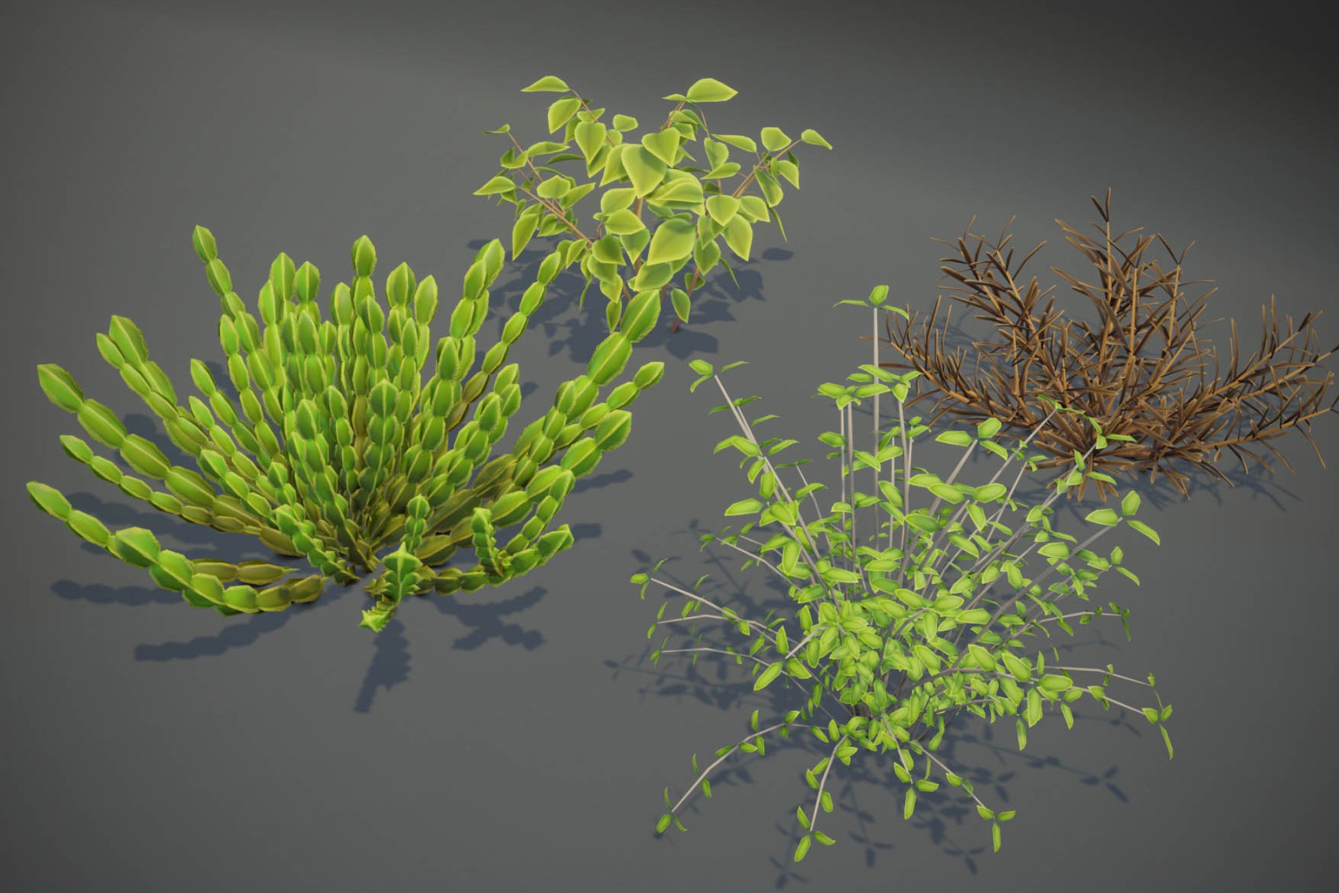 Cartoon Savanna Bushes and Shrubs 3D Model | 3D Plants | Unity Asset Store