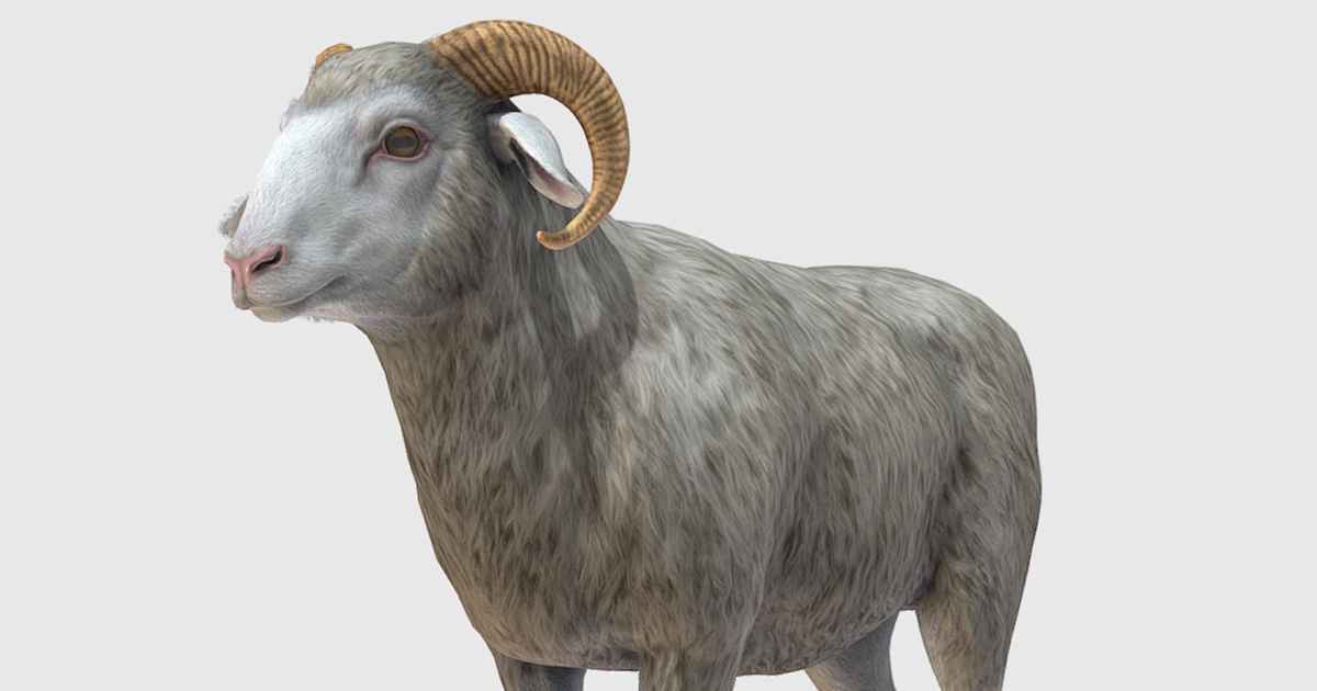 Ram | Characters | Unity Asset Store