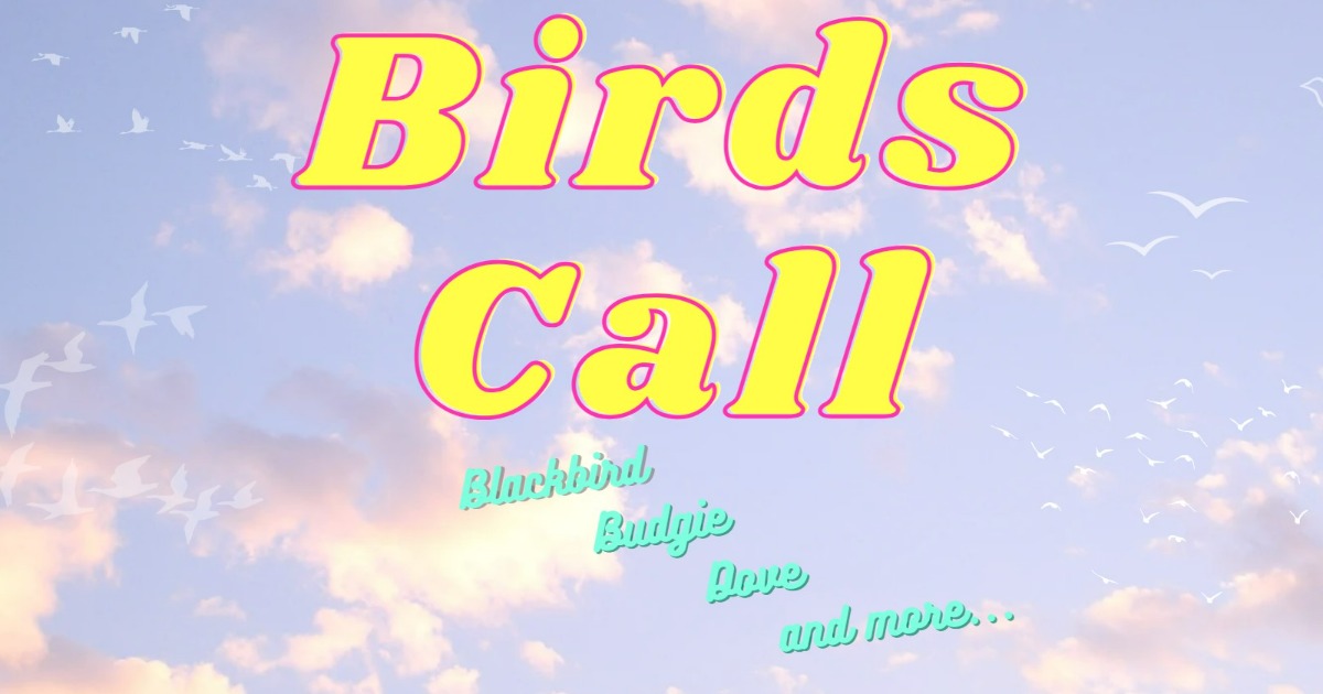 Birds Call | Nature Ambient | Unity Asset Store