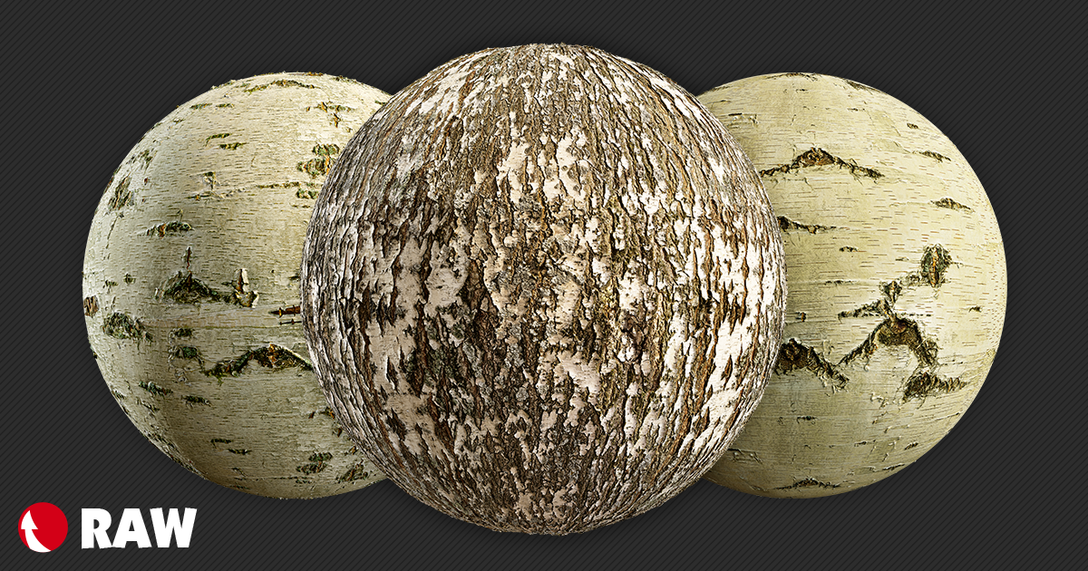 Birch Bark Textures Pack | 2D Wood | Unity Asset Store