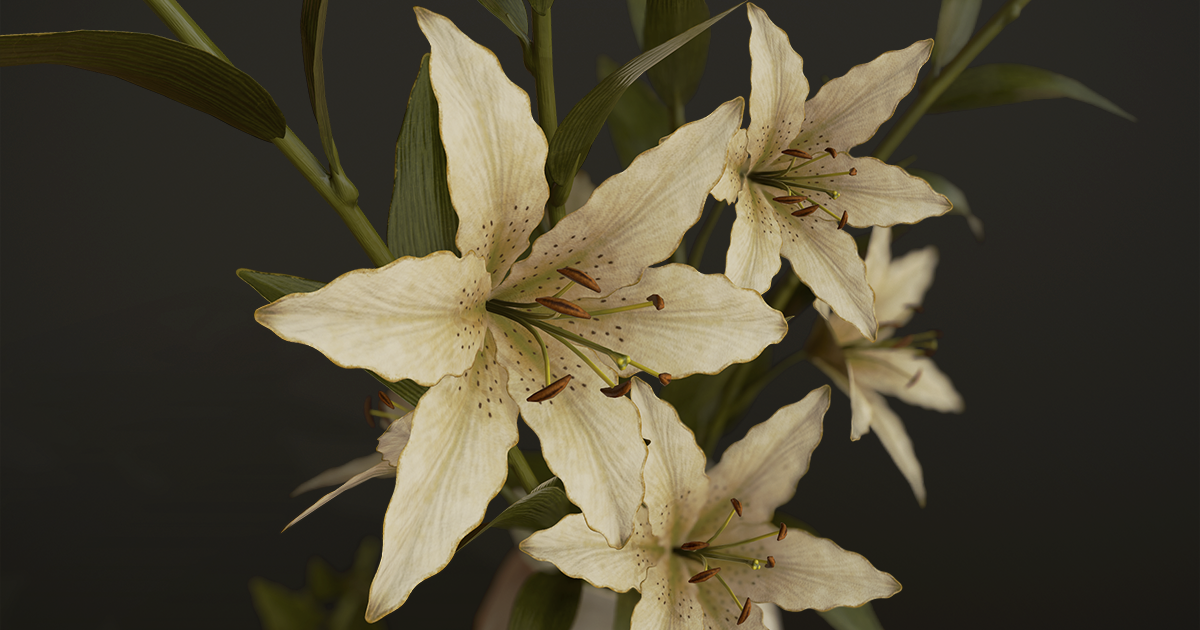 Bouquet with Lilies | 3D Flowers | Unity Asset Store