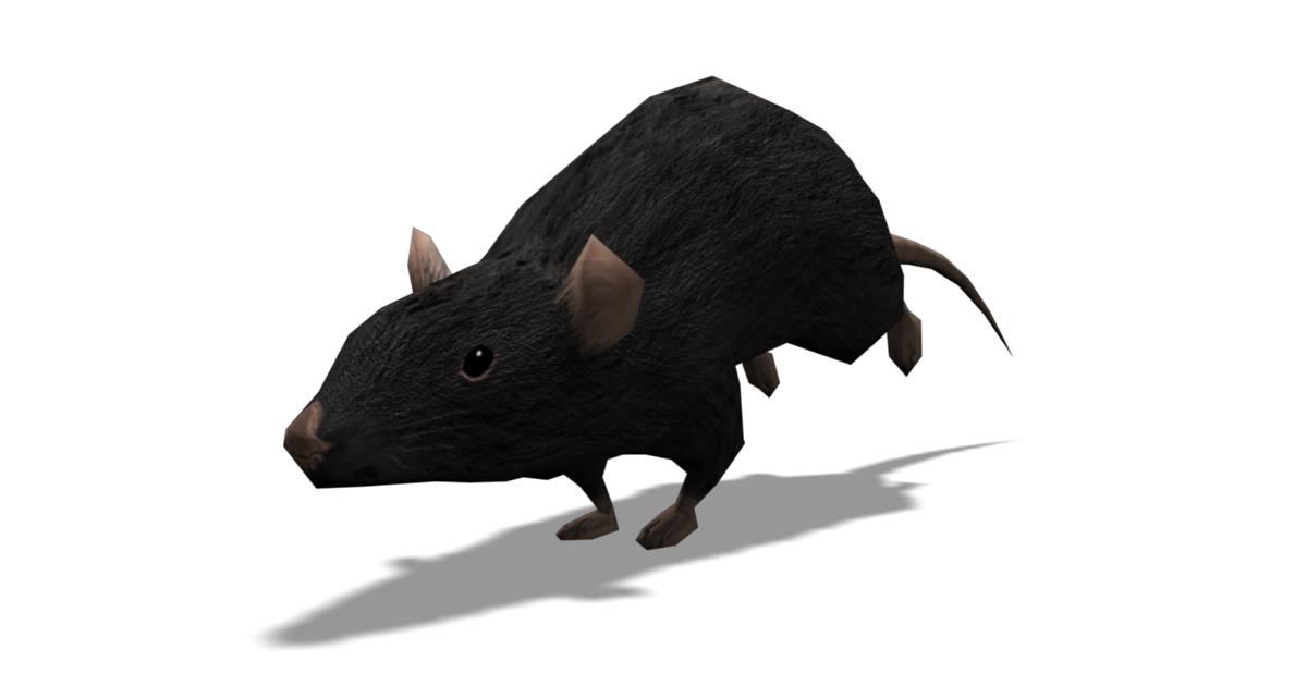 The Rat Critter | 3D 动物 | Unity Asset Store