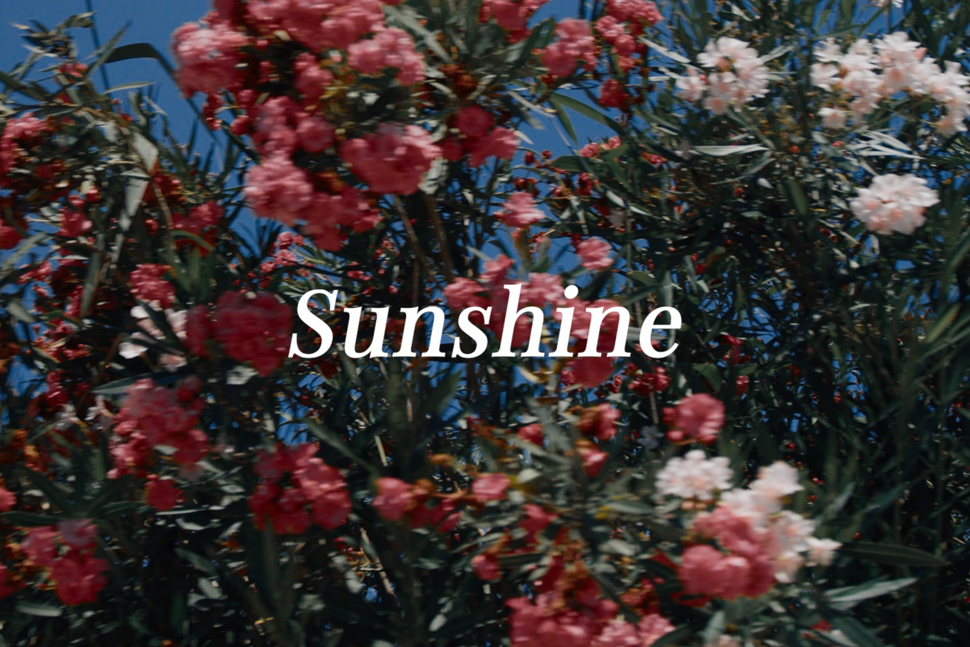 Sunshine | Audio Music | Unity Asset Store