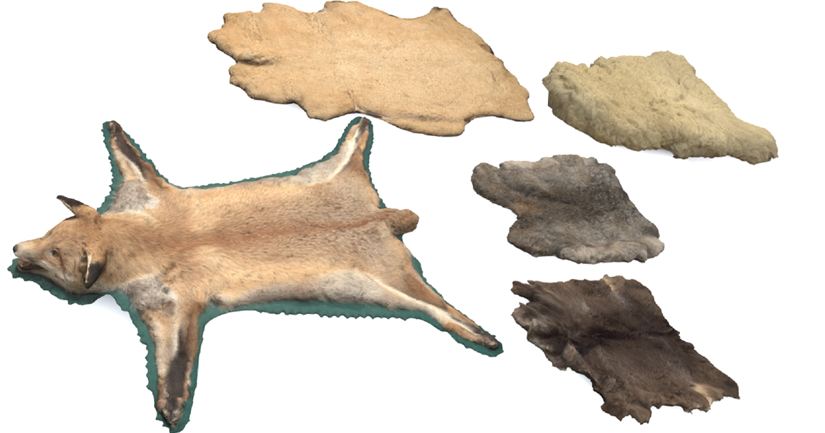 Animal Hide Models Pack (Fox, Sheep, Goat, Rabbit) | 3D Interior ...
