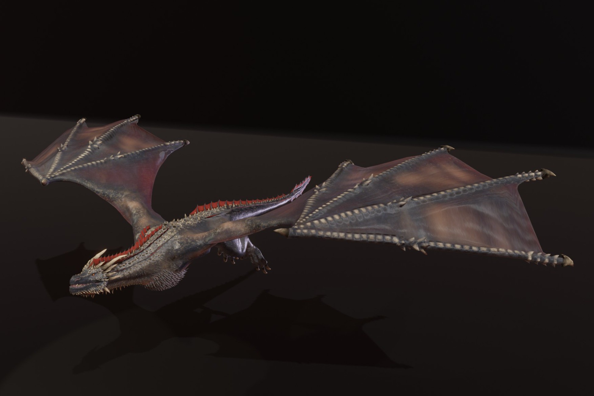 Realistic Black Wyvern Animated 3D Model by 3D-Disco