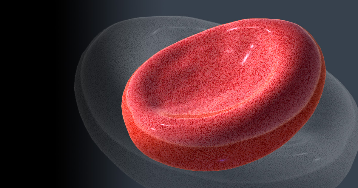 Blood Cell animated | 3D Characters | Unity Asset Store