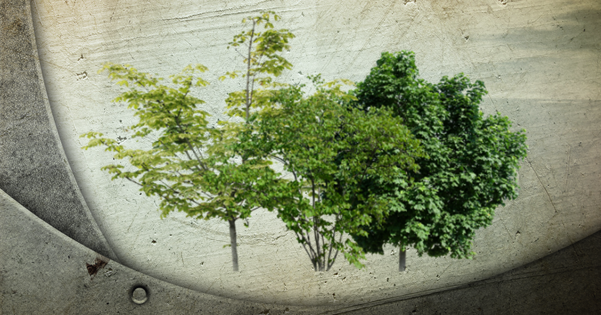 2D-Plant-Creation-System | Particles/Effects | Unity Asset Store