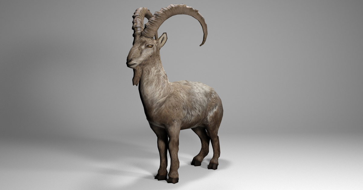 Alpine Ibex | Characters | Unity Asset Store