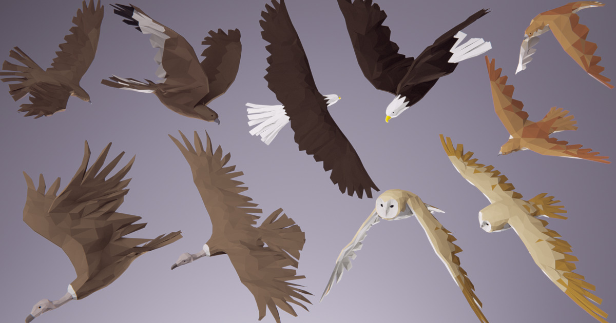 Low Poly Bird: Predator Pack | Characters | Unity Asset Store