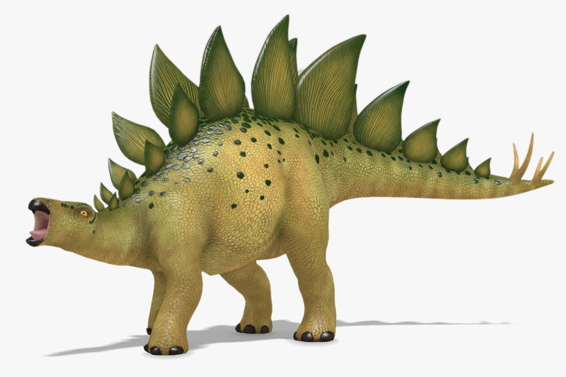Stegosaurus Animated | Characters | Unity Asset Store