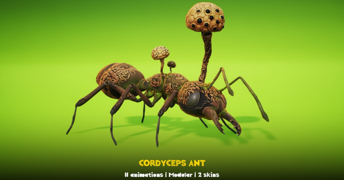 Cordyceps Ant | 3D Characters | Unity Asset Store