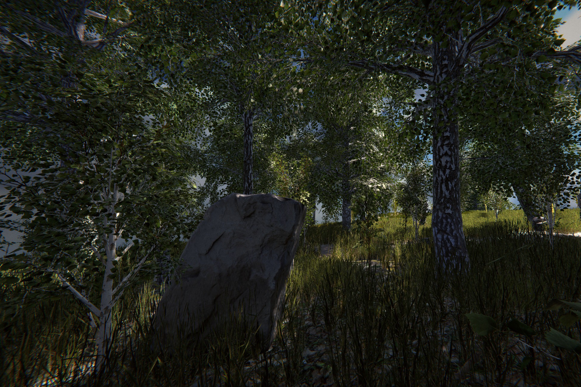Scanned Birch Wood | 3D Vegetation | Unity Asset Store