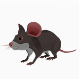 Toon Mouse (Stylized)