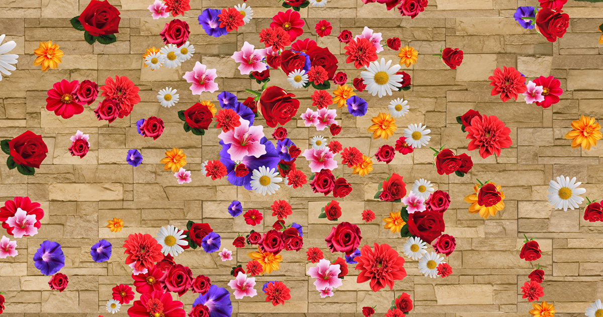 Real Flower Particles with Leaf & Petal particles | 시각 효과 파티클 | Unity ...