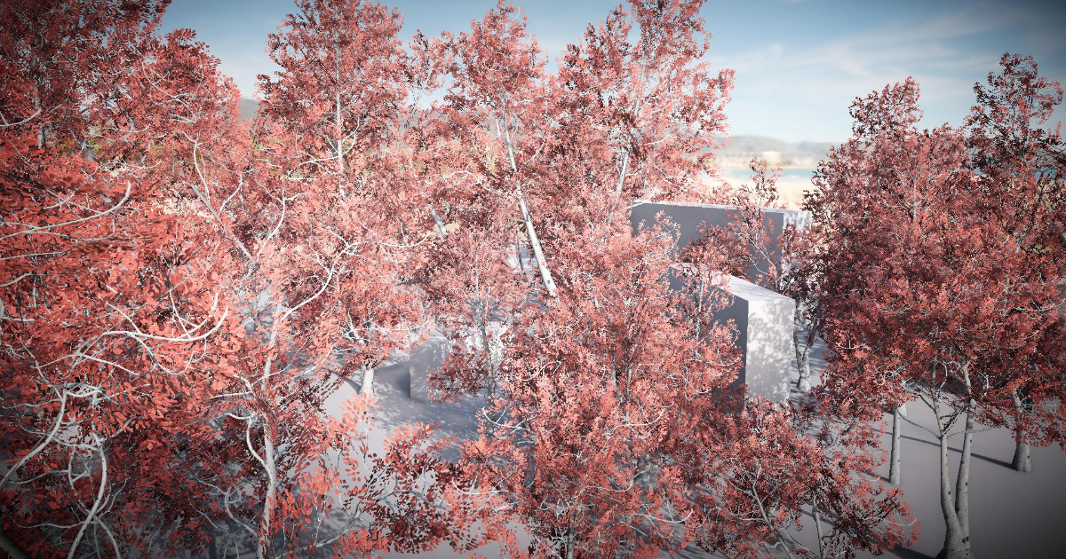 Mobile Tree Pack 4 (URP) | 3D Trees | Unity Asset Store