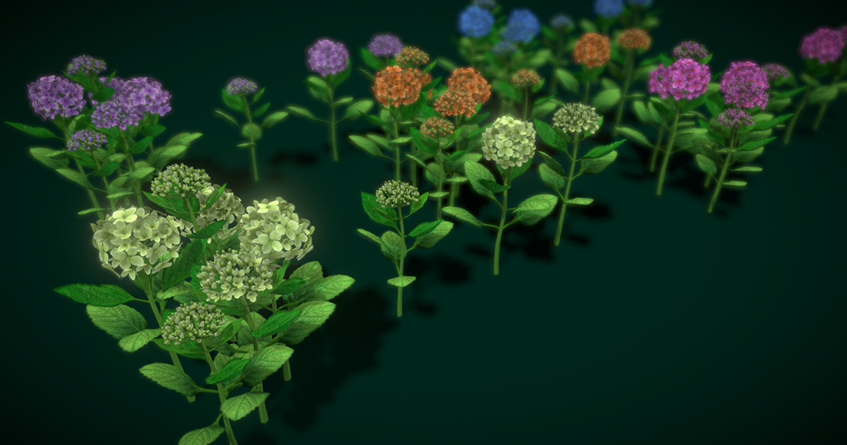 Flower Hydrange | 3D Flowers | Unity Asset Store