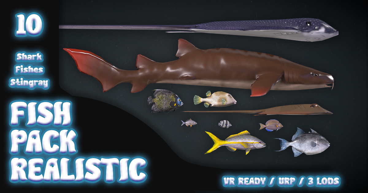 Realistic Caribbean Fishes | VR Ready | URP | Characters | Unity Asset ...