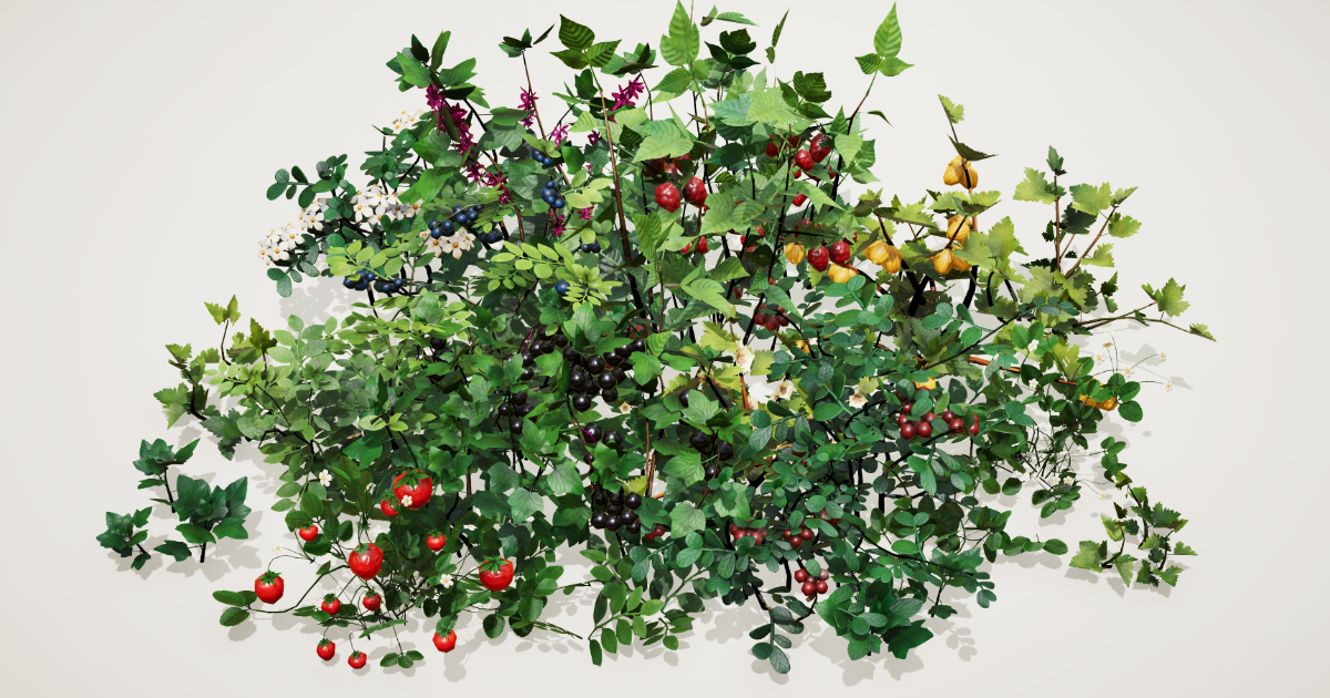 Wild Harvest: Berries | 3D Plants | Unity Asset Store