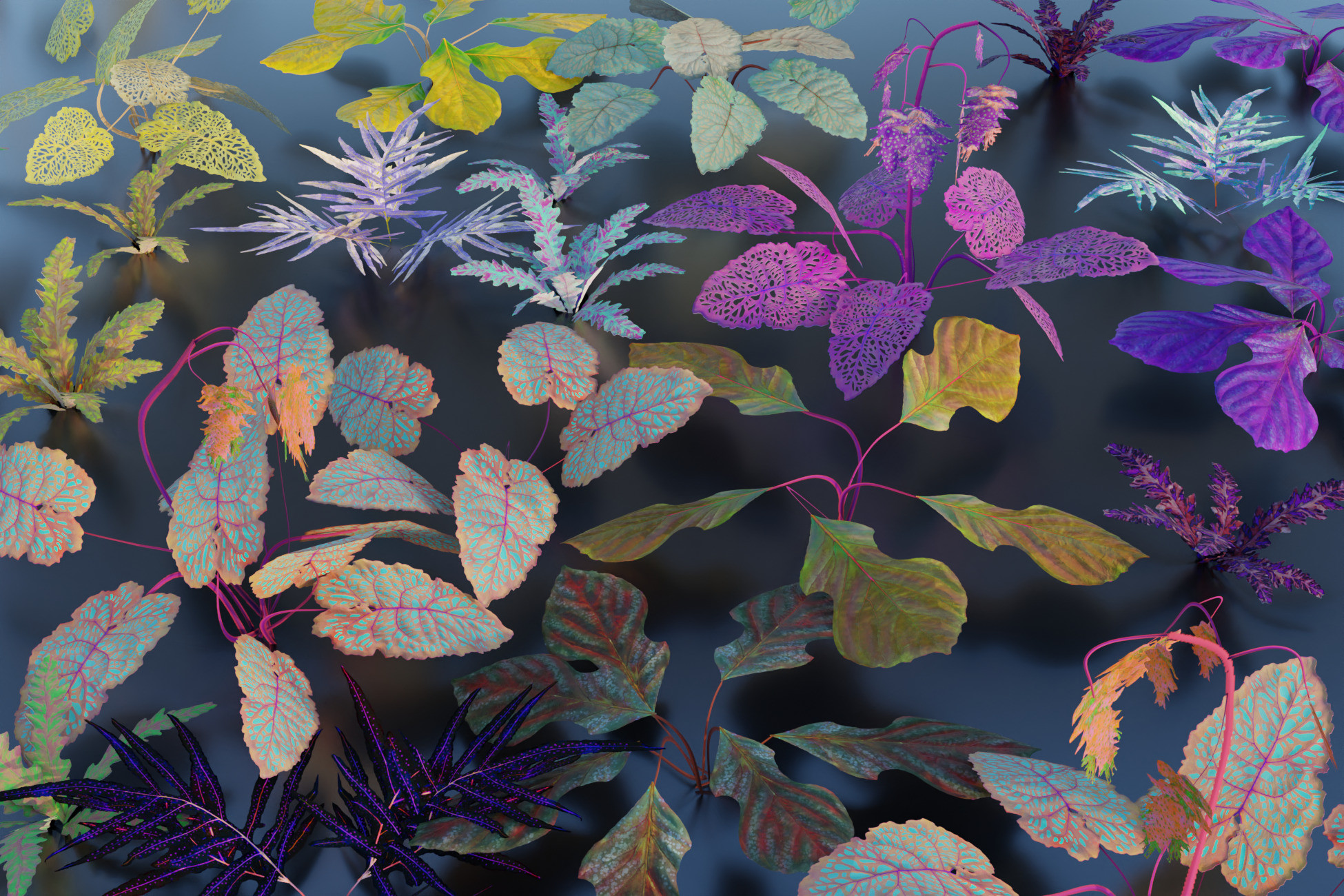 (LITE) Splash of Color - Unique Photogrammetry Plants | 3D Plants ...