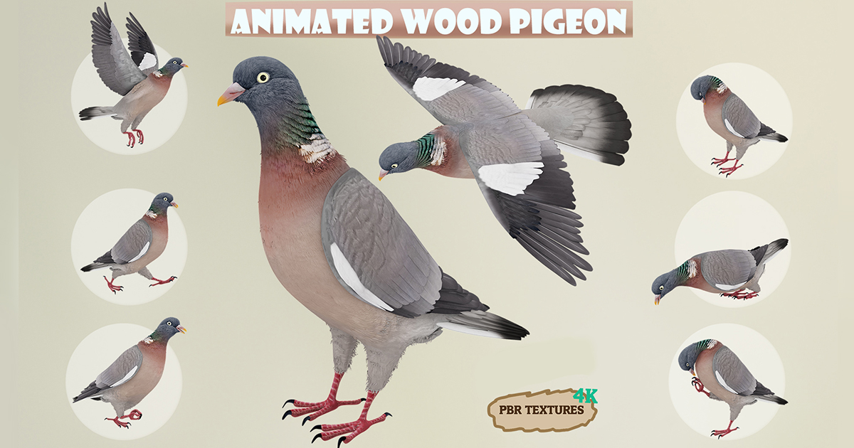 Realistic Animated Wood Pigeon | Characters | Unity Asset Store