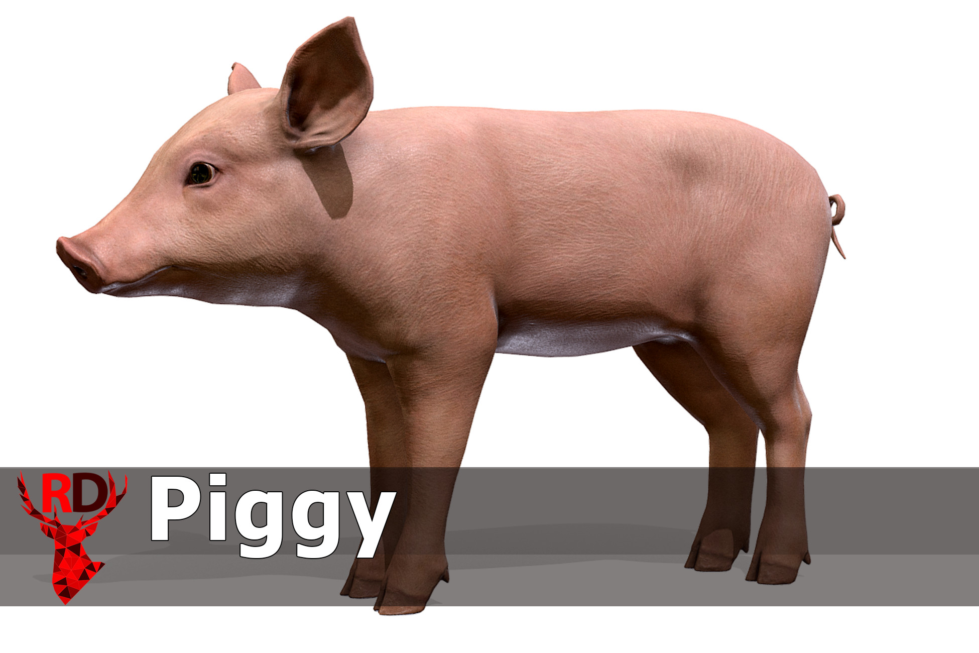 Piggy model | 角色 | Unity Asset Store