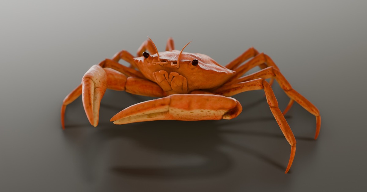Animated Crab | 3D Animals | Unity Asset Store