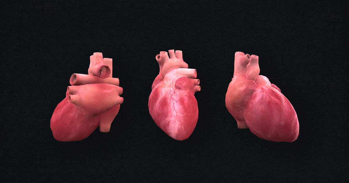 Low Poly Human Heart | 캐릭터 | Unity Asset Store