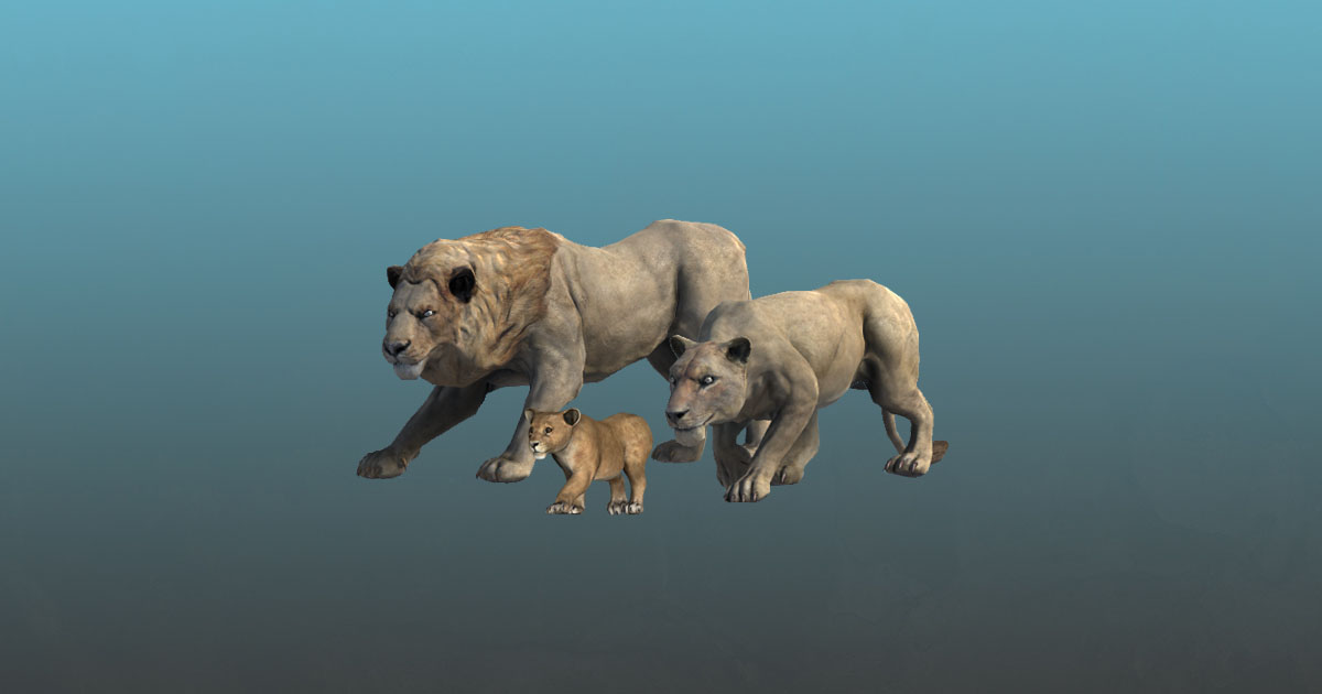 African Lion Family Bundle | Characters | Unity Asset Store